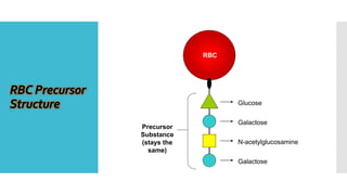 Abo blood group system | PPT