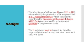 Abo blood group system | PPT