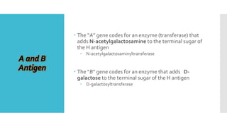 Abo blood group system | PPT