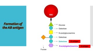 Abo blood group system | PPTX