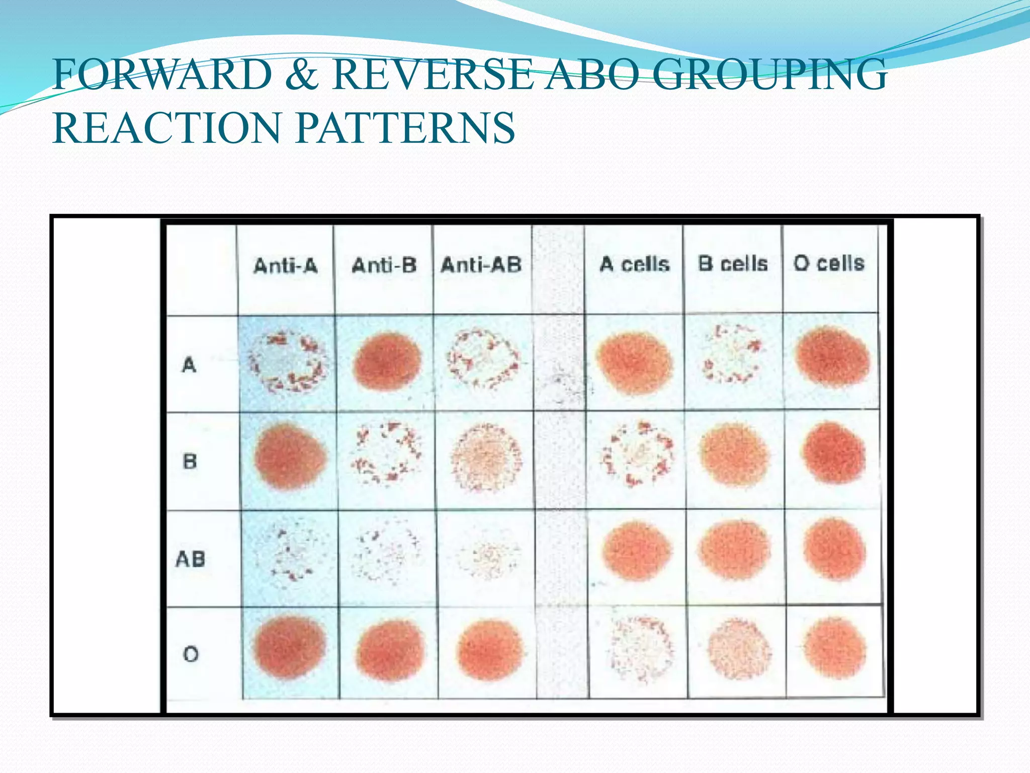 ABO Blood Group System.pptx