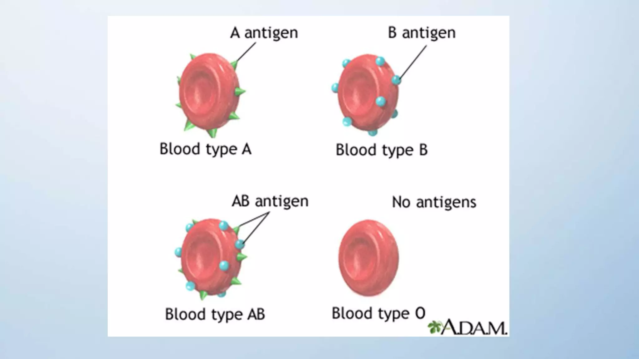 ABO blood group system and history | PPTX