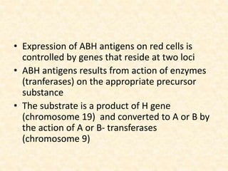 Abo blood grp | PPTX