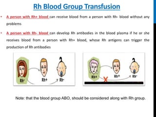 abo_blood_rh_grouping.pptx