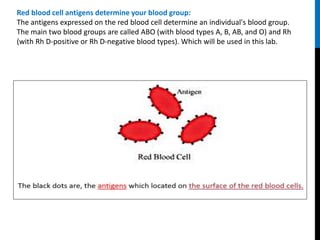 abo_blood_rh_grouping.pptx