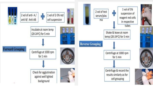 Abo DISCREPANCIES blood bank abo system.pptx