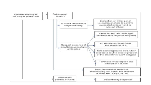 ABO DISCREPANCY 1.pptx | Blood Disorders | Diseases and Conditions