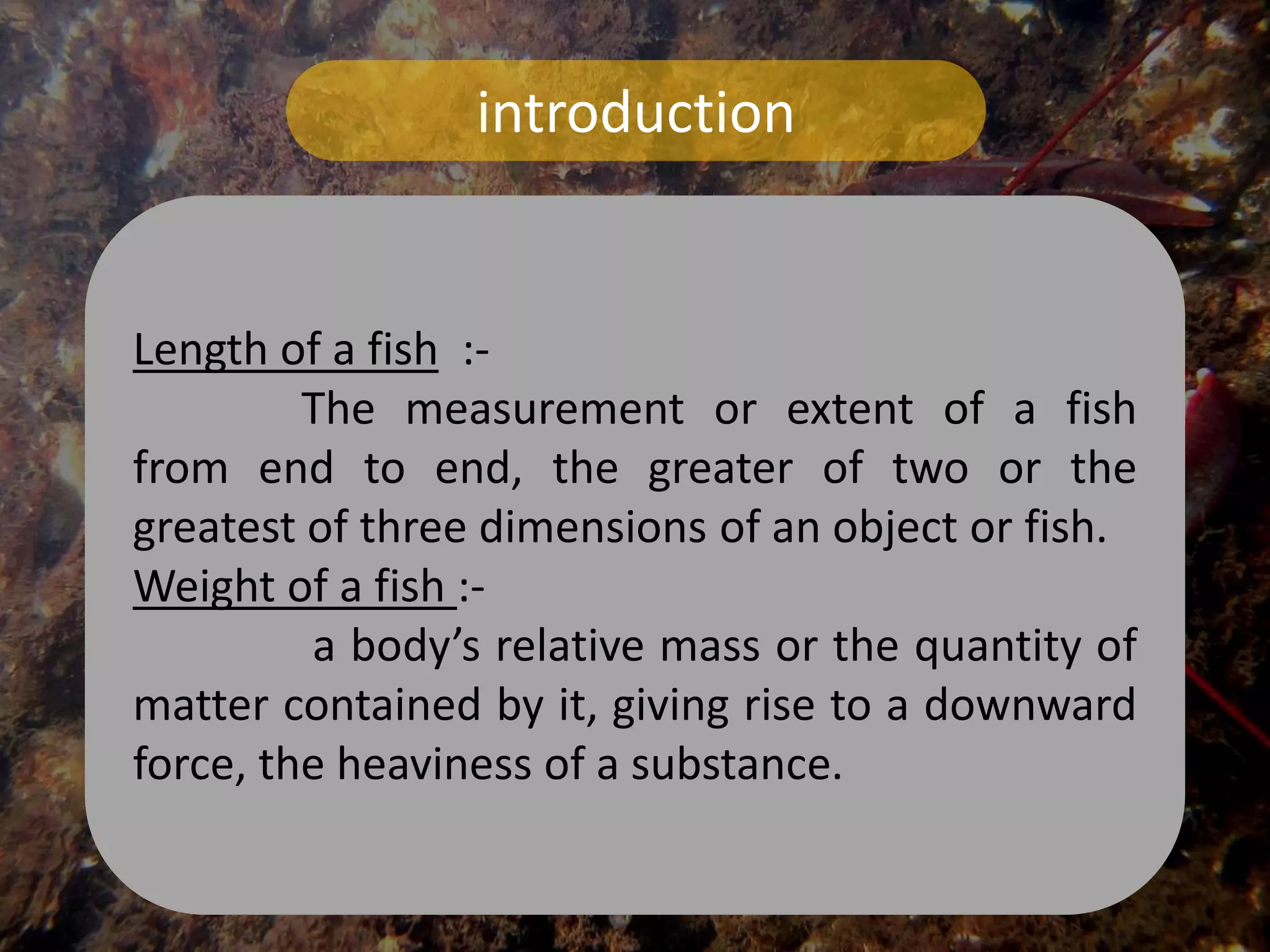 length and weight relationship of fish | PPTX