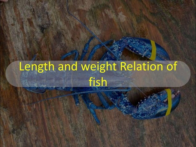 length and weight relationship of fish | PPTX