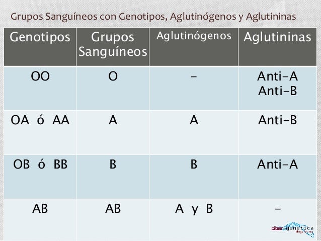 Abo grupos sanguíneos ame 2013