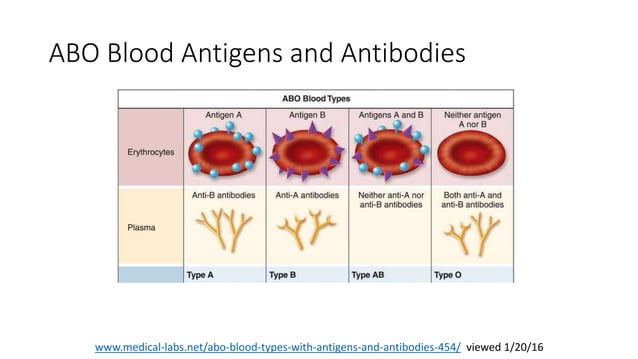 ABO Incompatible Kidney Transplantation, Michael Casey, MD (W-0007) | PPT
