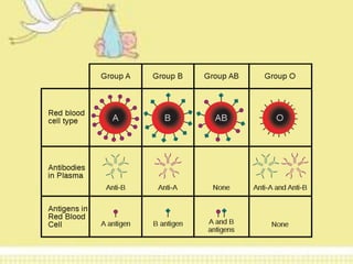 Abo incompatibility | PPTX