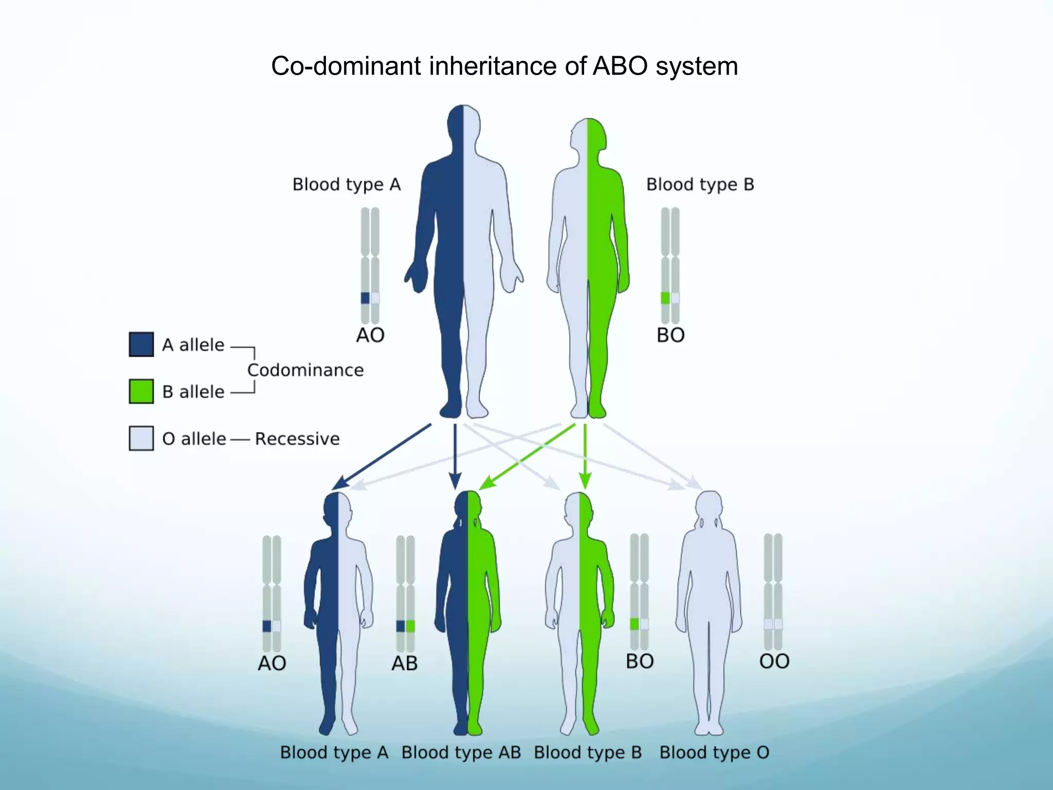 ABO incompatibility | PPTX