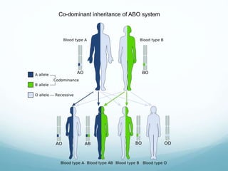 ABO incompatibility | PPTX