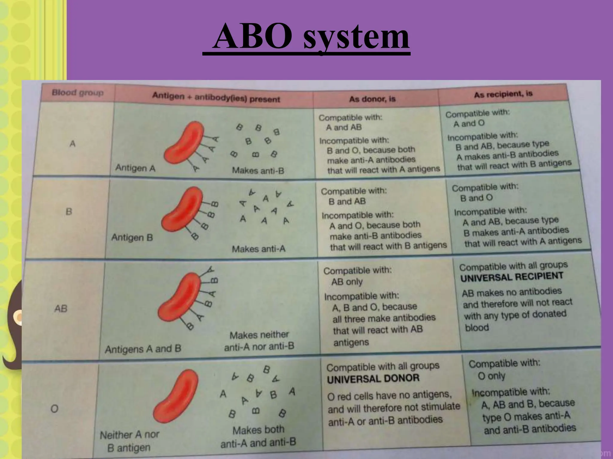 ABO Blood grouping in-compatibility in pregnancy | PPT