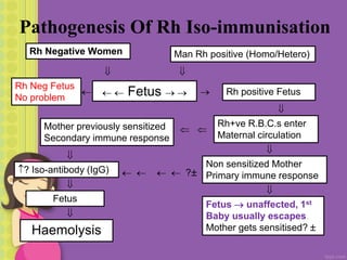 ABO Blood grouping in-compatibility in pregnancy | PPT