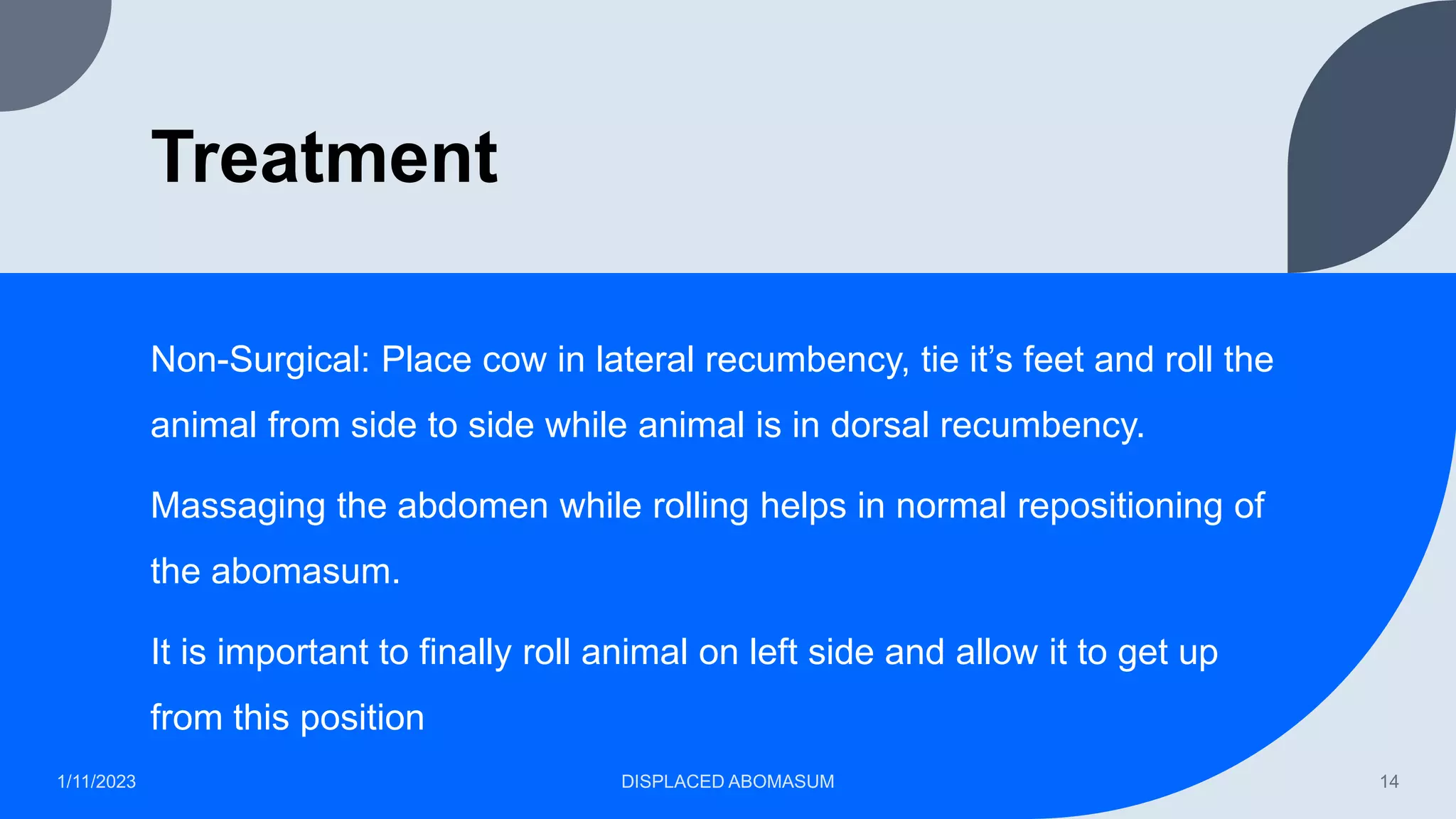 Abomasal Displacement (1).pptx