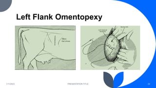 Abomasal Displacement (1).pptx
