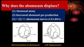 Abomasal displacement in cows prof. Dr Hamed Attia | PPT