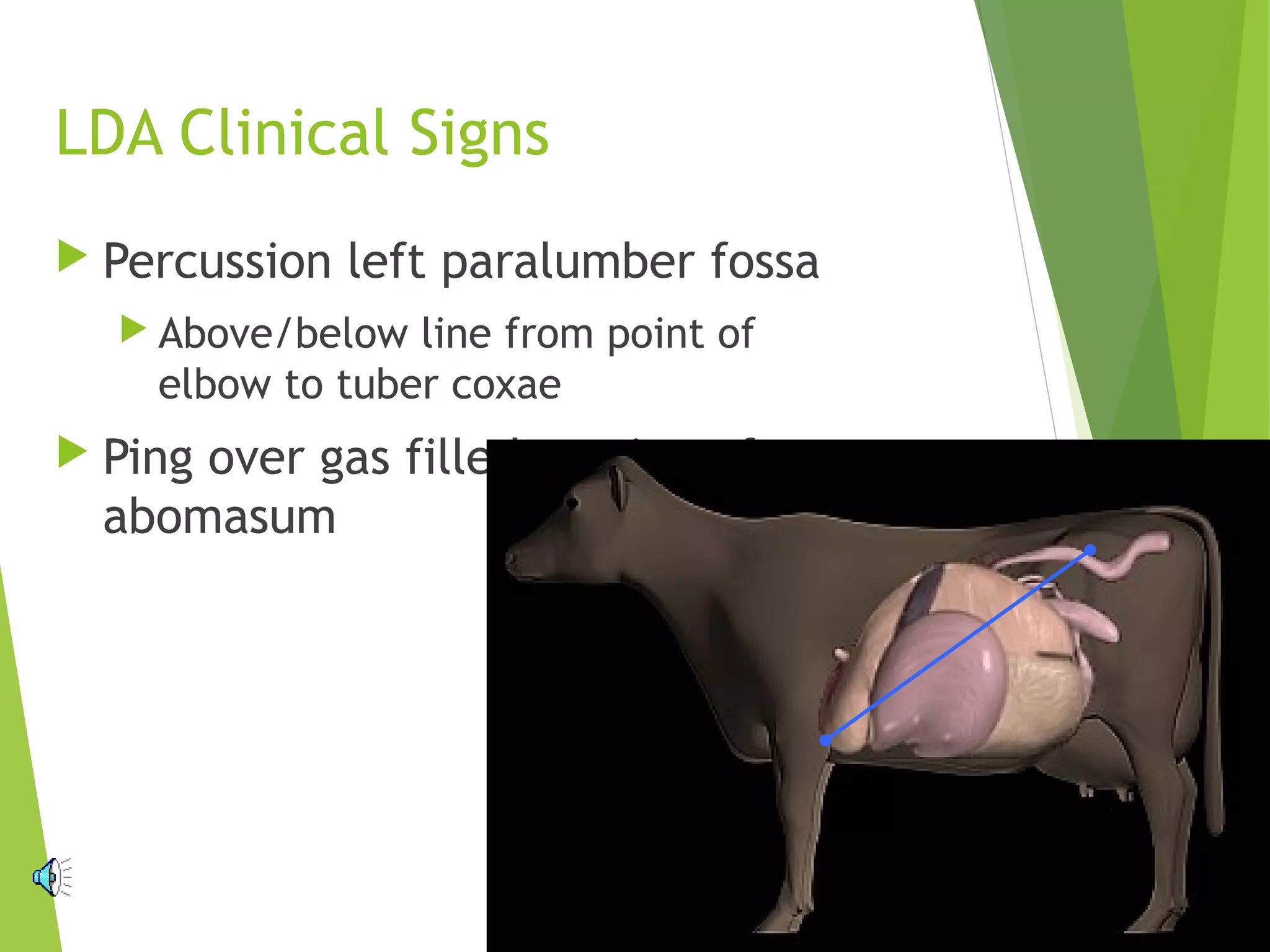 Abomasal displacements and volvulus | PPT