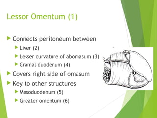 Abomasal displacements and volvulus | PPT