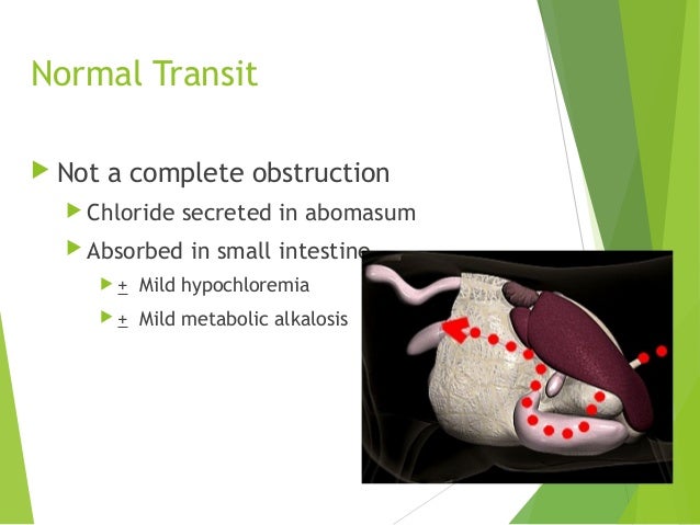 Abomasal displacements and volvulus