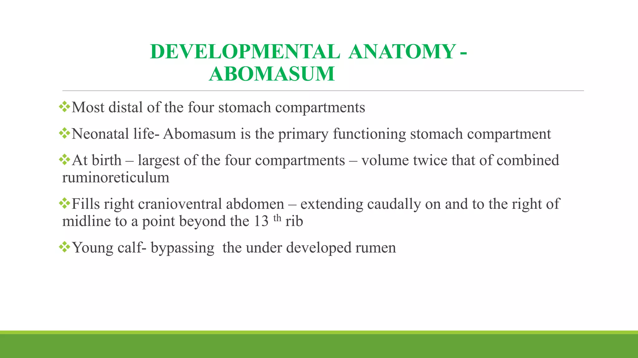Abomasal surgery | PPTX