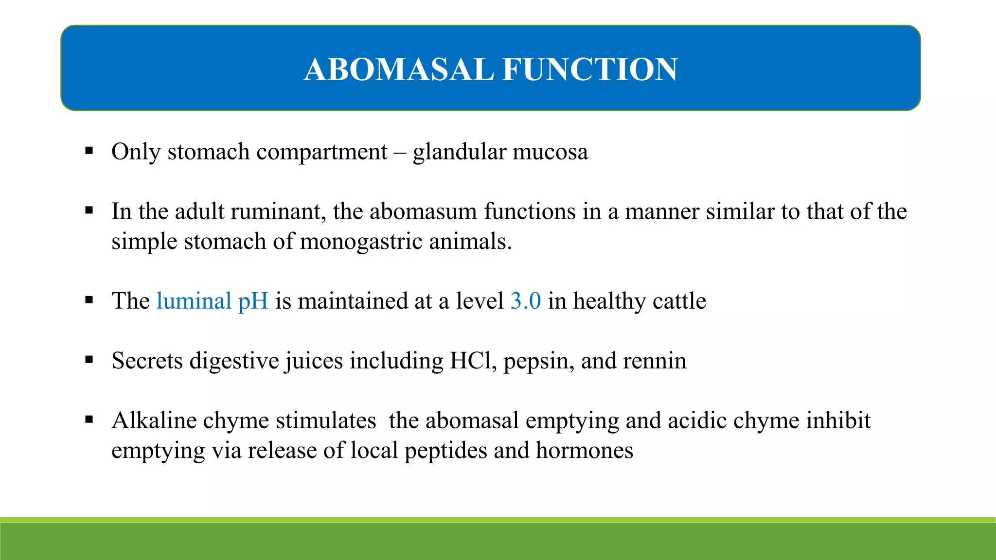 Abomasal surgery | PPTX
