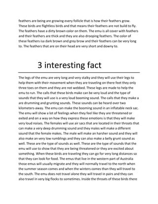 infomation about the emu | PDF