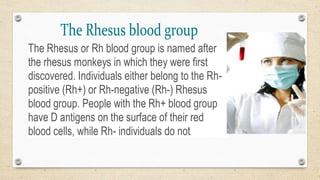 ABO BLOOD GROUPING AND RH FACTOR | PPTX | Pregnancy | Reproductive Health