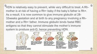 ABO BLOOD GROUPING AND RH FACTOR | PPTX
