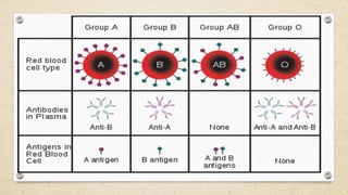 ABO BLOOD GROUPING AND RH FACTOR | PPTX