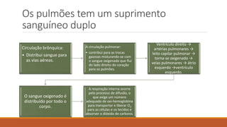 Abordagem diagnóstica ao paciente crítico com distúrbios respiratórios ...