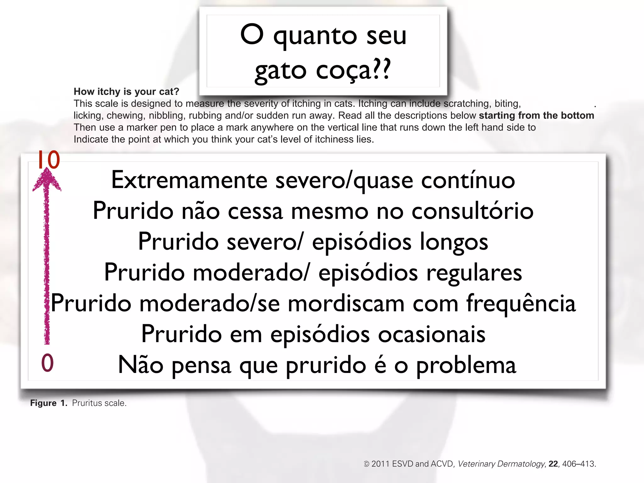 Abordagem diagnóstica e terapêutica do prurido em gatos | PDF