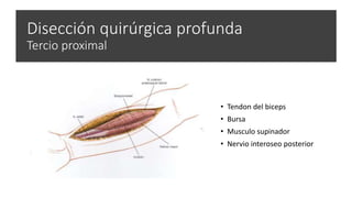 Abordaje de antebrazo.pptx
