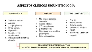ABORDAJE DE ICTERICIA ROTACIÓN MEDICINA INTERNA | PDF