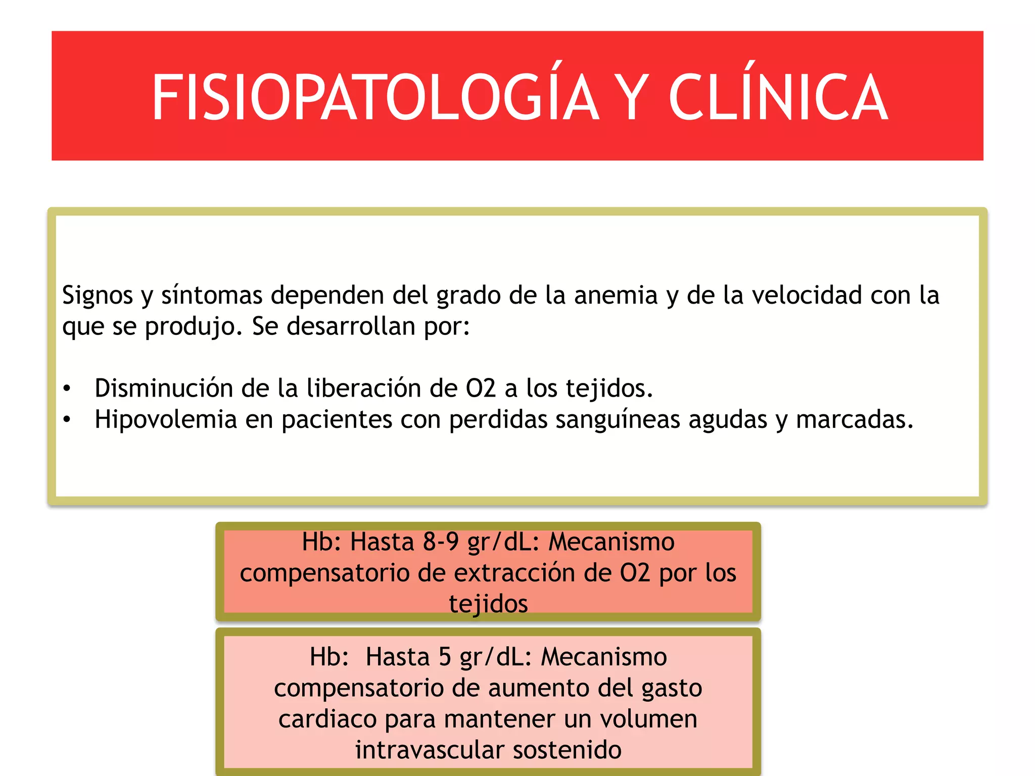 Abordaje del paciente con anemia 2012 | PPTX | Blood Disorders ...