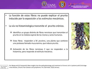 Abordaje del paciente con prurito cutáneo | PDF