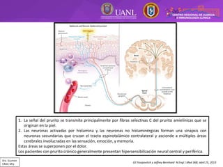 Abordaje del paciente con prurito cutáneo | PDF