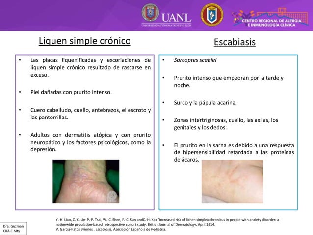 Abordaje del paciente con prurito cutáneo | PPT