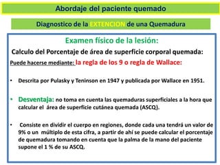 Abordaje del paciente quemado dra. pineda | PDF