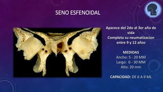 abordaje de seno esfenoidal abordaje.pptx