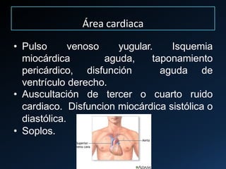 Abordajediagnosticodelpacientecondolortoracico | PPTX