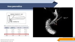Abordaje diagnóstico en patología pancreatobiliar en pediatría | PPTX