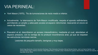 Abordaje perineal de tumor retrorrectal | PPTX