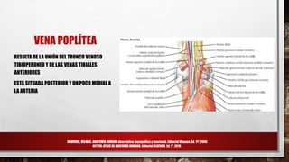 Abordaje quirúrgico fosa poplítea.pptx