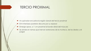 ABORDAJES CODO Y ANTEBRAZO CATEDRA DE ABORDAJES QUIRURGICOS.pptx