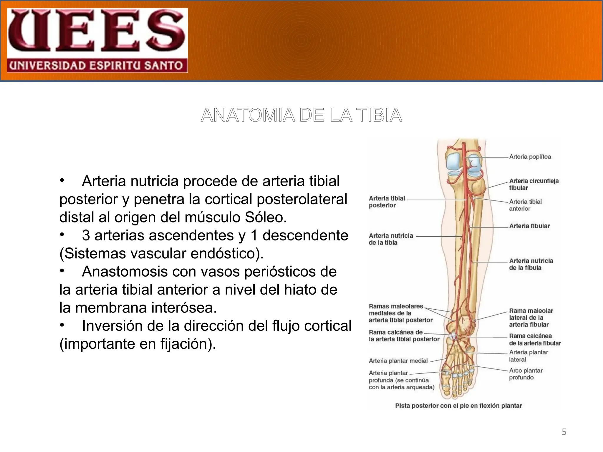 ABORDAJES DE FRACTURAS DE DIAFISIS DE TIBIA ACTUALIZADO.pptx