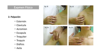 SEMIOLOGIA DEL HOMBRO EN TRAUAMTOLOGIA 1 | PPTX