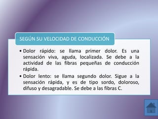 Abordajes teóricos para comprender el dolor humano | PPTX